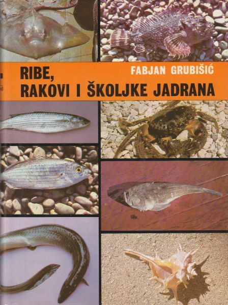 Ribe, rakovi i školjke Jadrana (2.izd.)